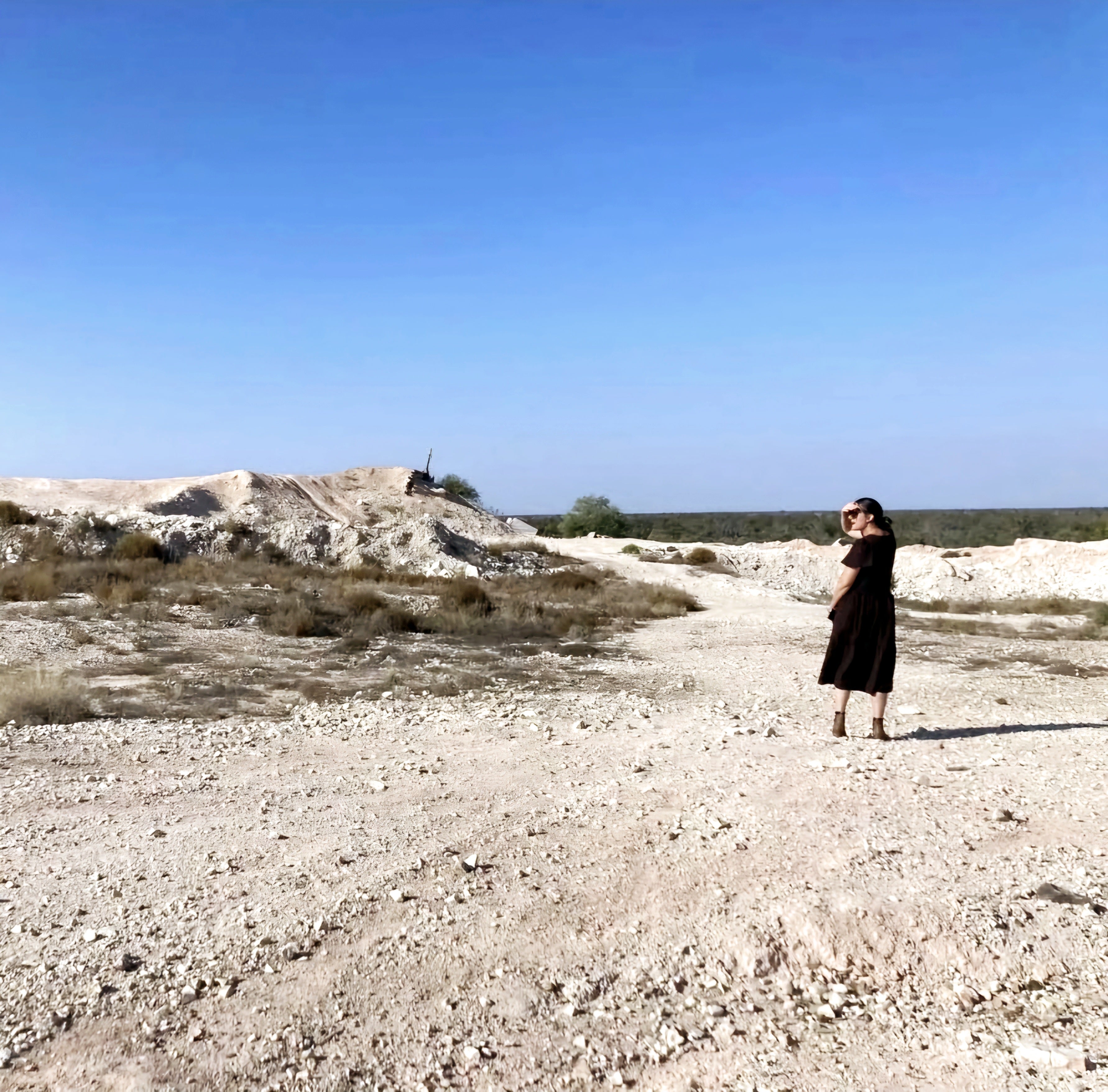 Kate Pittas Art – katepittasart